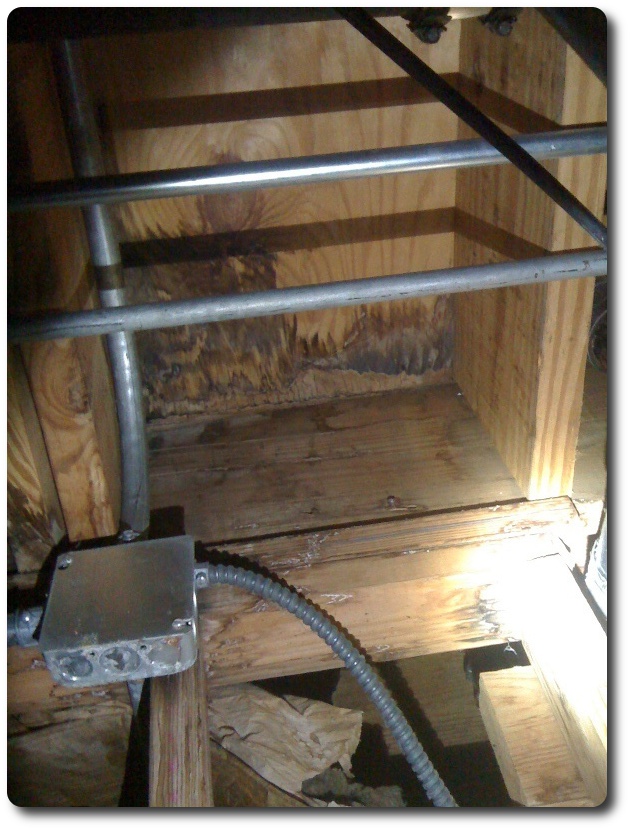 Mold in Schools | Moldy Schools | Mold Contamination In Schools ...