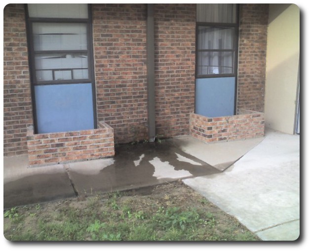 Mold in Schools | Moldy Schools | Mold Contamination In Schools ...