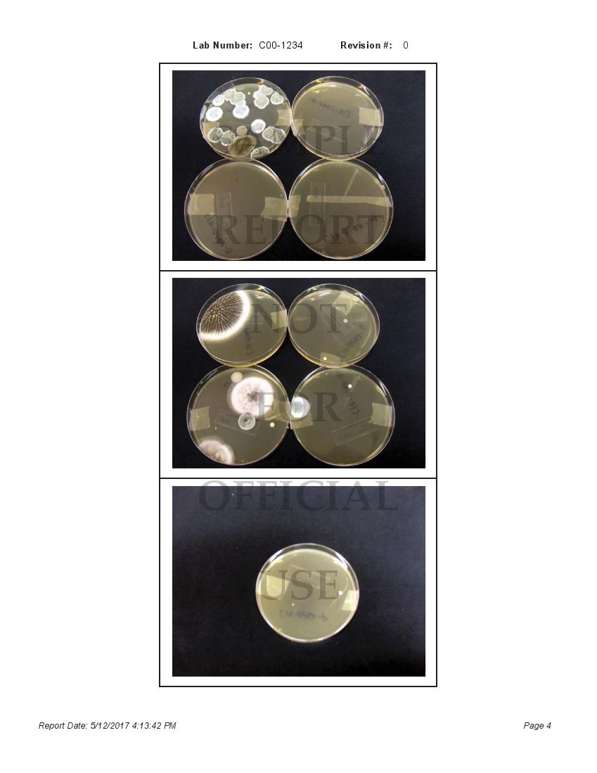 Mold Testing Cost | Mold Detector | Mold Test Kits