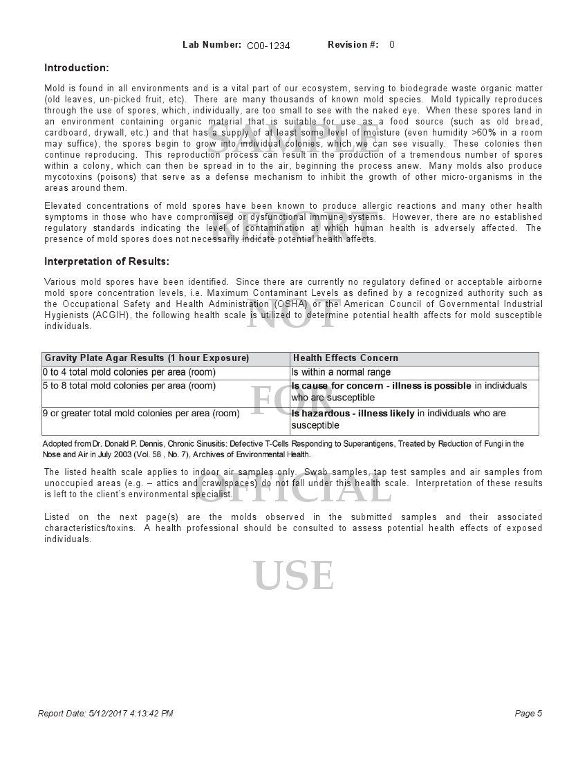 Introductory Mold Guide